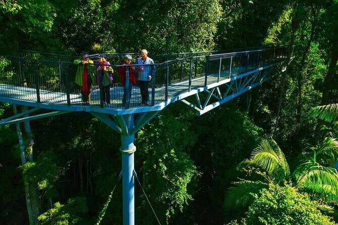 Explore Mt Tamborine from Brisbane - Authentic Insights