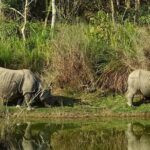 Explore Nepal In A Week  7 Days - Day 2: Kathmandu’s Cultural Treasures