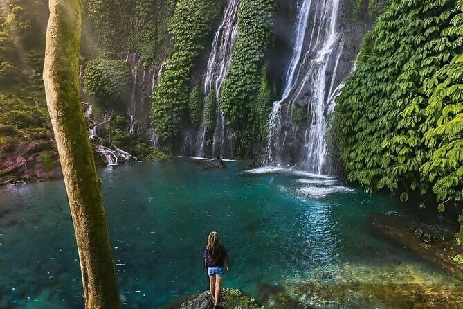 Explore North Bali (Temple, Waterfall, Rice Terrace) - Detailed Breakdown of the Tour Stops