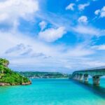 Explore Okinawa with Private Sedan Car Hire Driver - What Travelers Say: Pros and Cons