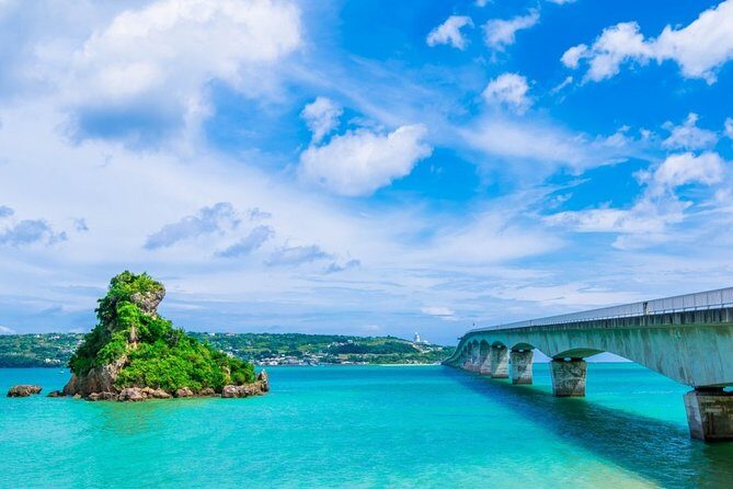 Explore Okinawa with Private Sedan Car Hire Driver - What Travelers Say: Pros and Cons