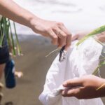 Explore old-fashioned Polynesian life and prepare a local meal - Analyzing the Value: Is It Worth $239?