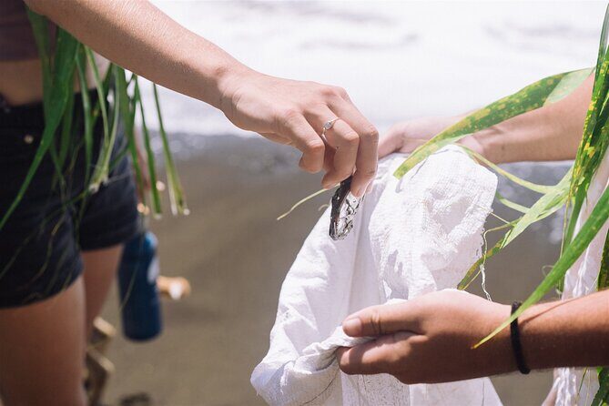 Explore old-fashioned Polynesian life and prepare a local meal - Analyzing the Value: Is It Worth $239?