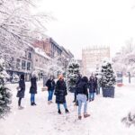 Explore Old Montreal Small Group Walking Tour by MTL Detours - What Travelers Say