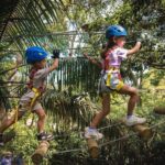 Explore Ourimbah State Forest Junior Tree Ropes Course - Analyzing the Value for Your Money