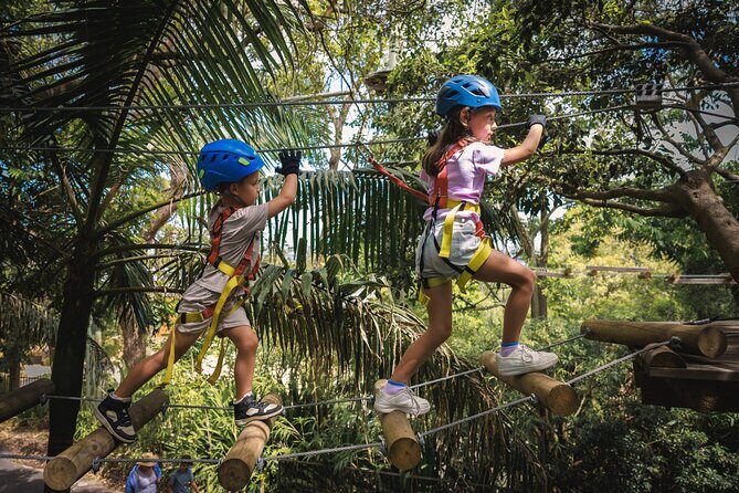 Explore Ourimbah State Forest Junior Tree Ropes Course - Analyzing the Value for Your Money