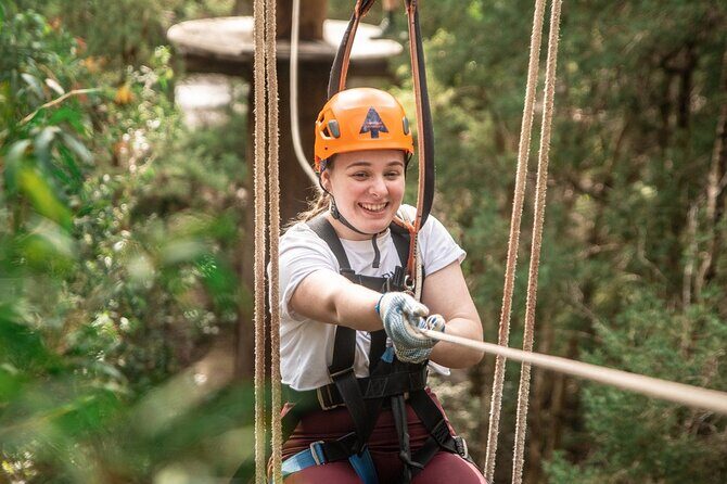 Explore Ourimbah State Forest Tree Ropes Course - Who Should Consider This Experience?