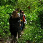 Explore Phuket Landmarks Private Tour with Rainforest Hike - Final Thoughts: Who is This Tour Best For?