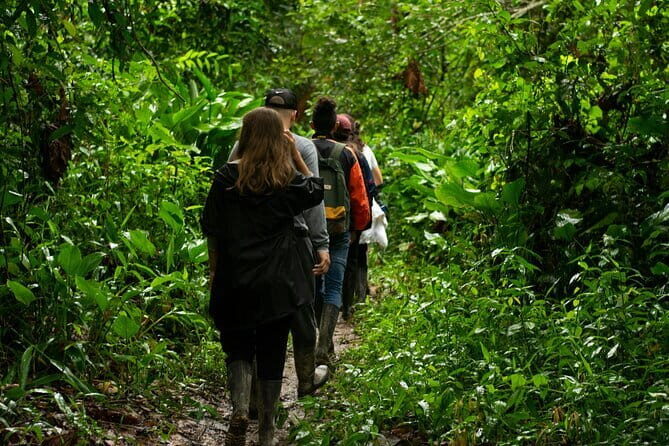 Explore Phuket Landmarks Private Tour with Rainforest Hike - Final Thoughts: Who is This Tour Best For?