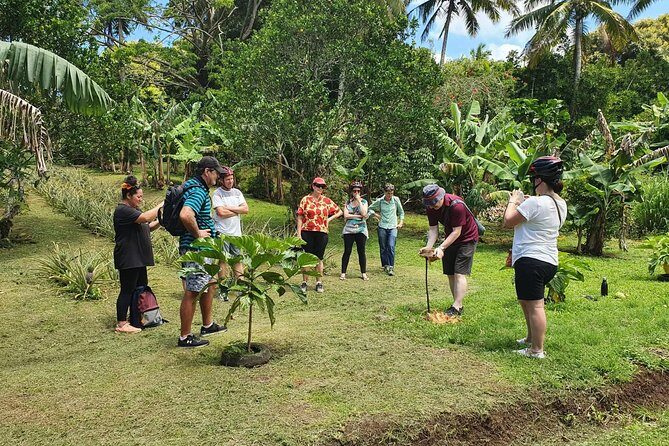 'Explore' Rarotonga Guided Bike Tour with Lunch and Swim - Who Will Enjoy This Tour?