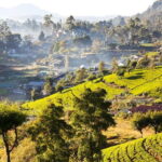 Explore, Relax & Rejuvenate (12 Days) - The Itinerary Breakdown: What to Expect