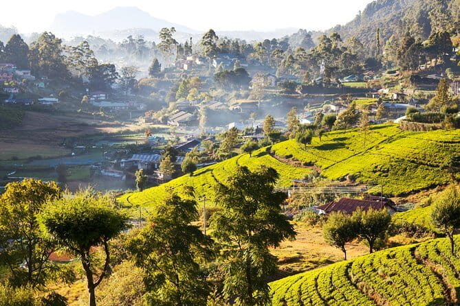 Explore, Relax & Rejuvenate (12 Days) - The Itinerary Breakdown: What to Expect