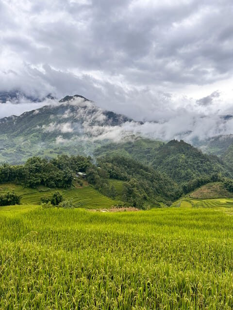 Explore Sapa by TrekkingAdventures, Mountain,Rice fields - Why This Tour Offers Excellent Value