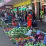 Explore Sigatoka-Fijian Pottery village,School,Sand Dunes/Shopping Ex CoralCoast - Who Should Consider This Tour?