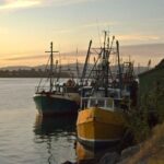 Explore Tauranga: Self-Guided Audio Tour - Key Points