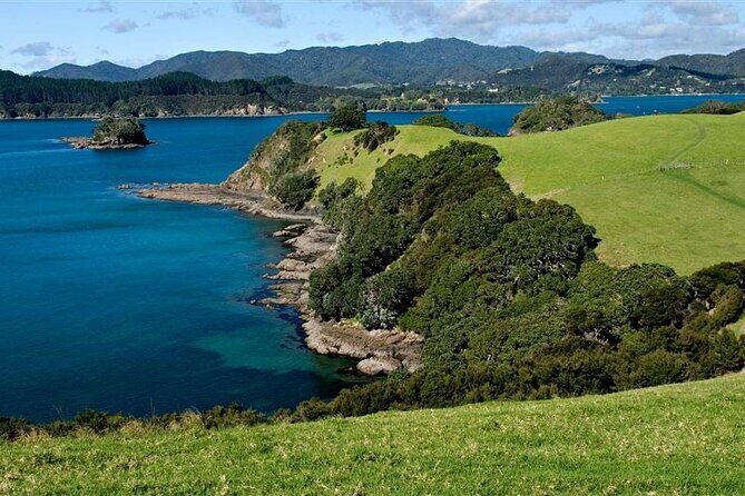 Explore The Bay of Islands Full Day Private Tour from Auckland - Detailed Breakdown of the Itinerary