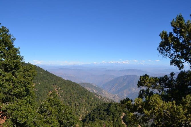 Explore the best of forest & nature in Nainital (4.5 hours Guided Tour) - Practical Considerations