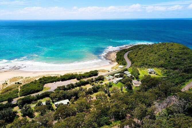 Explore the Great Ocean Road a Coastal Adventure - Why This Tour Stands Out in a Crowded Market