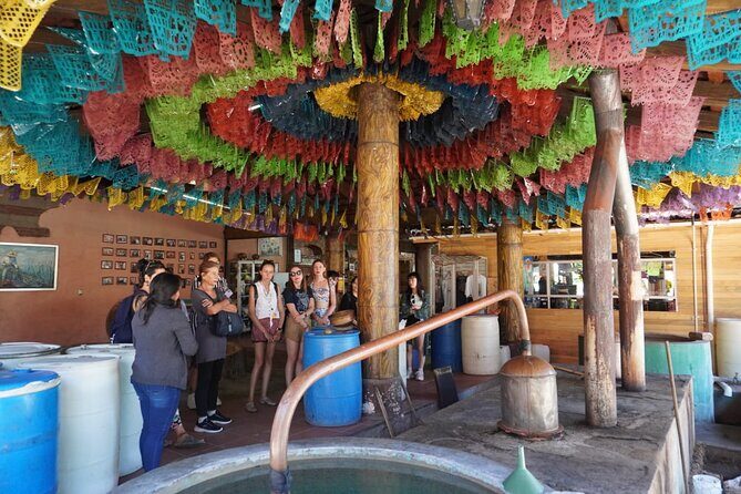 Explore the Prehispanic Roots of Oaxaca - Final Thoughts: Who Will Enjoy This Tour?