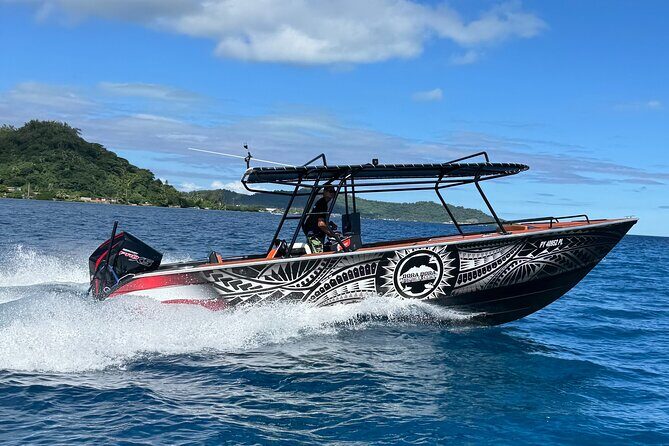 Explore the Vanilla Island Full-Day Tour to Tahaa from Bora Bora - Who Should Consider This Tour?