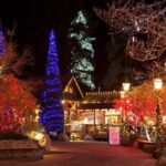 Explore Vancouver City & Capilano Suspension Bridge Canyon Lights - FAQ