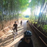 Exploring Arashiyama in a small group? E-bike tour is perfect! - The Itinerary — A Step-by-Step Breakdown