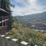 Exploring Hakata: Temples Shrines and Scenic Treasures - A Detailed Breakdown of the Itinerary