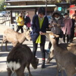 Exploring Nara - FAQ