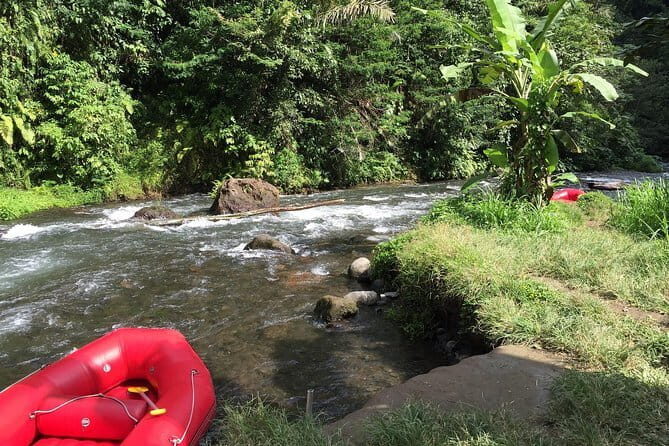 Extreme Adventure Bali - Jungle ATV, River Rafting and Sacred Monkey Forest - Who Will Love This Tour?