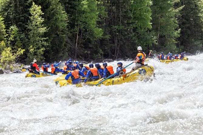 Extreme Whitewater Rafting on Kicking Horse River - Who Should Consider This Tour?