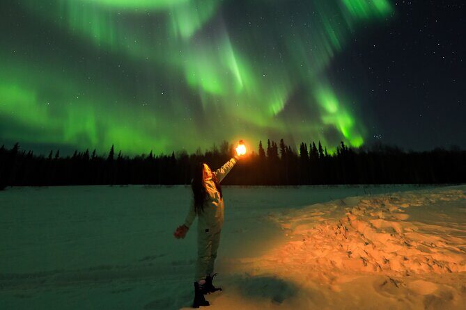 Fairbanks Aurora Borealis Night Tour - The Transportation: Comfort and Practicalities