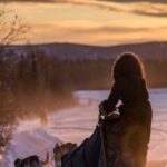 Fairbanks: Private Mush on the Historic Yukon Quest Trail - What the Tour Includes and What You Should Know