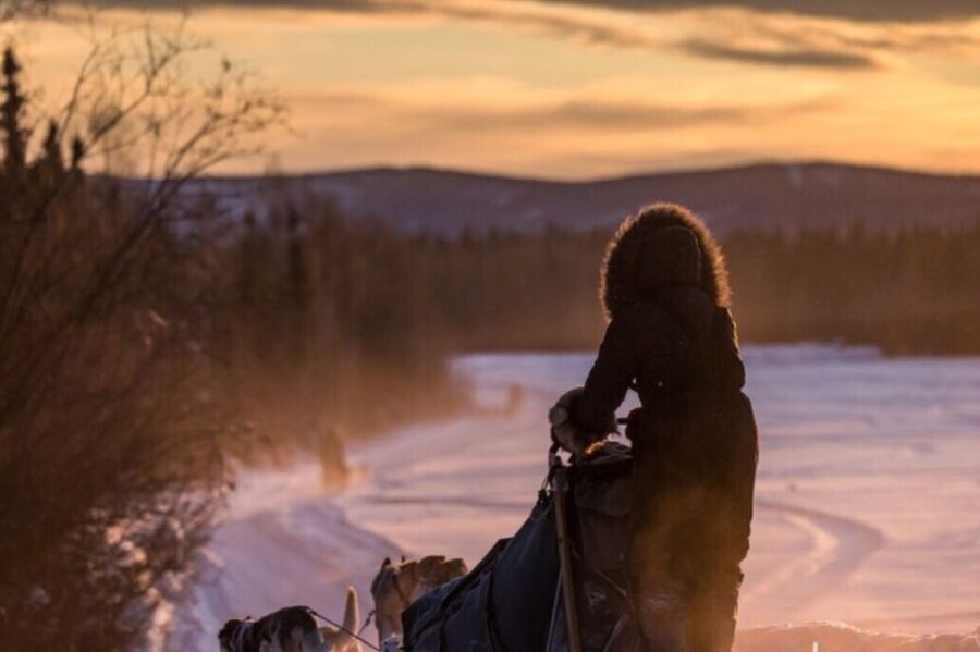 Fairbanks: Private Mush on the Historic Yukon Quest Trail - What the Tour Includes and What You Should Know