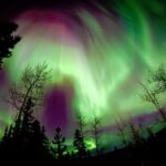 Fall Color Tour in Yukon from Whitehorse - Practical Details and Value