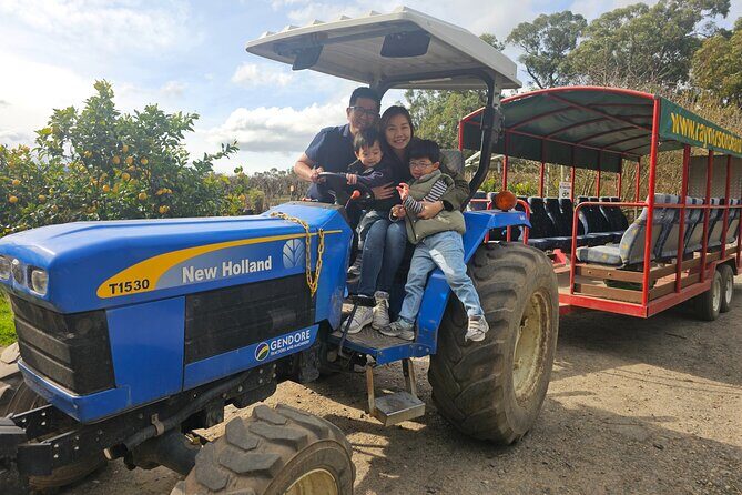 Family Day in the Yarra Valley Private Experience - Transport and Logistics: What to Expect
