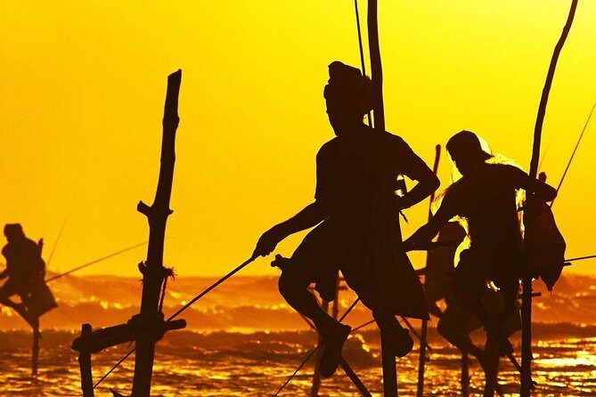 Family-Friendly Private Galle City Tour - The Galle Experience in Detail