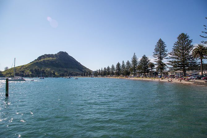 Family Surfing Lesson in Mount Maunganui - Pricing & Value: Is It Worth It?