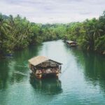 Famous Bohol Chocolate Hills Loboc River Cruise Tarsier Tour - What Travelers Say
