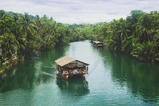 Famous Bohol Chocolate Hills Loboc River Cruise Tarsier Tour - What Travelers Say