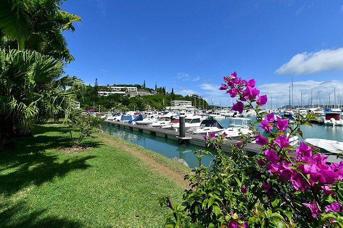 FAMOUS Local Green Train Noumea (01h30) - The Guides and Commentary