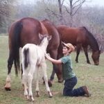 Farm Adventure Experience in Red Hill Ranch - The Sum Up: Why It’s Worthwhile