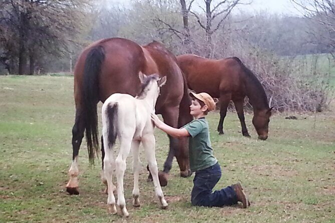 Farm Adventure Experience in Red Hill Ranch - The Sum Up: Why It’s Worthwhile