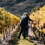 Farm and Wine Experience Half Day in Queenstown, Central Otago. - Authentic Experiences and Insights From Reviews