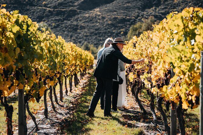 Farm and Wine Experience Half Day in Queenstown, Central Otago. - Authentic Experiences and Insights From Reviews
