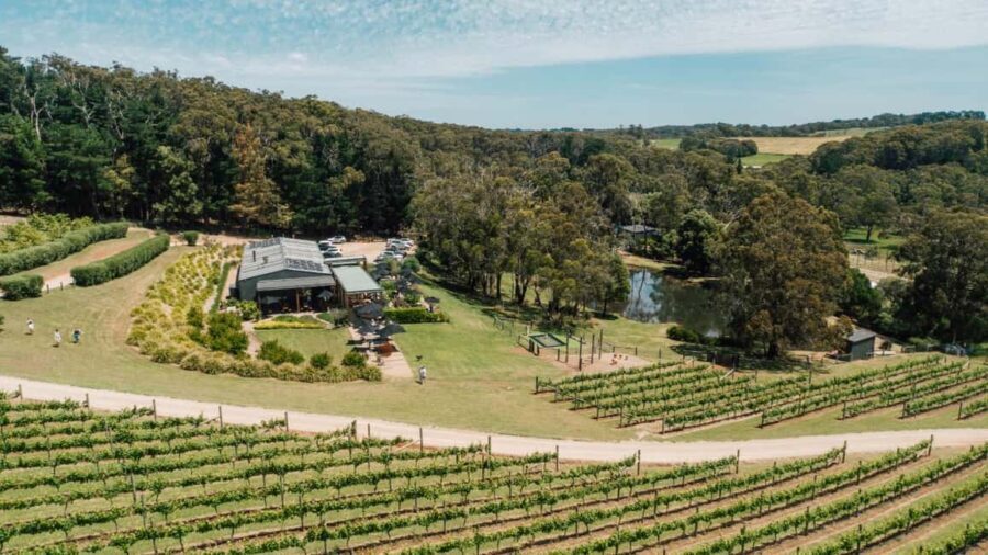Farm Picnic for 2 adults - What’s Unique About This Experience?