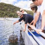 Farm to Plate - Sydney's Oyster Heartland - Visiting Oyster Leases and Farms