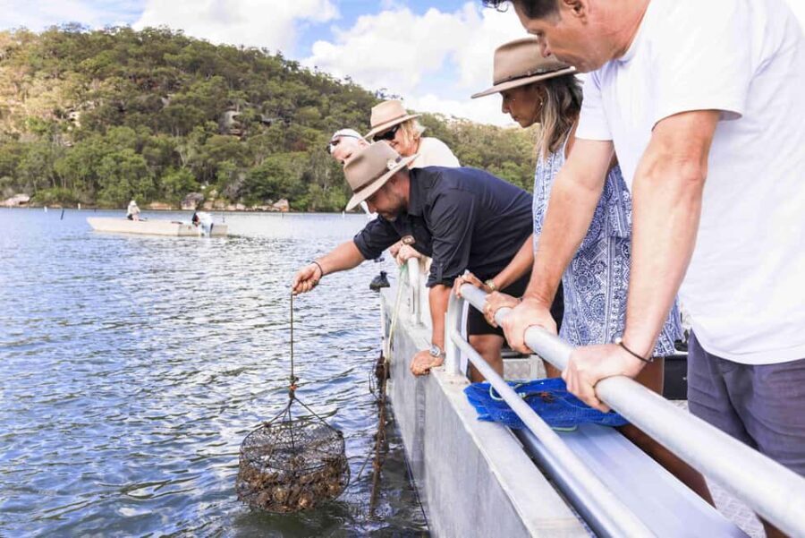 Farm to Plate - Sydney's Oyster Heartland - Visiting Oyster Leases and Farms