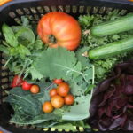 Farm to Table: Organic Farm Visit and Mongolian Cooking Class - Authenticity and Insight from Reviews