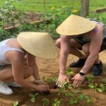 Farming - Local Market - Cooking Class In Tra Que Vegetable - Authentic Experiences and Genuine Engagement