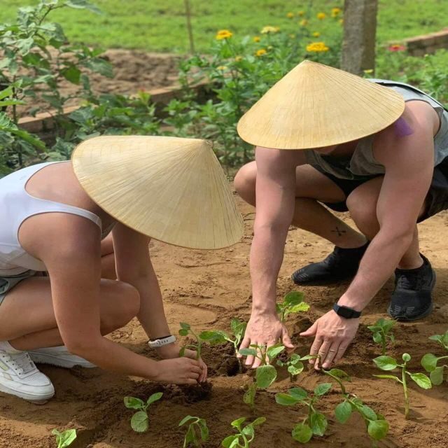 Farming - Local Market - Cooking Class In Tra Que Vegetable - Authentic Experiences and Genuine Engagement